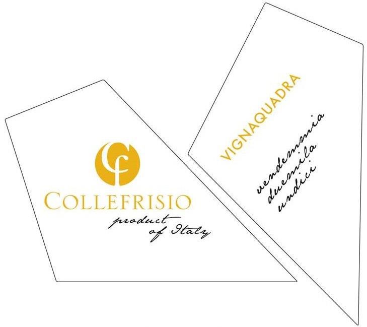 Collefrisio Wine - Learn About & Buy Online | Wine.com