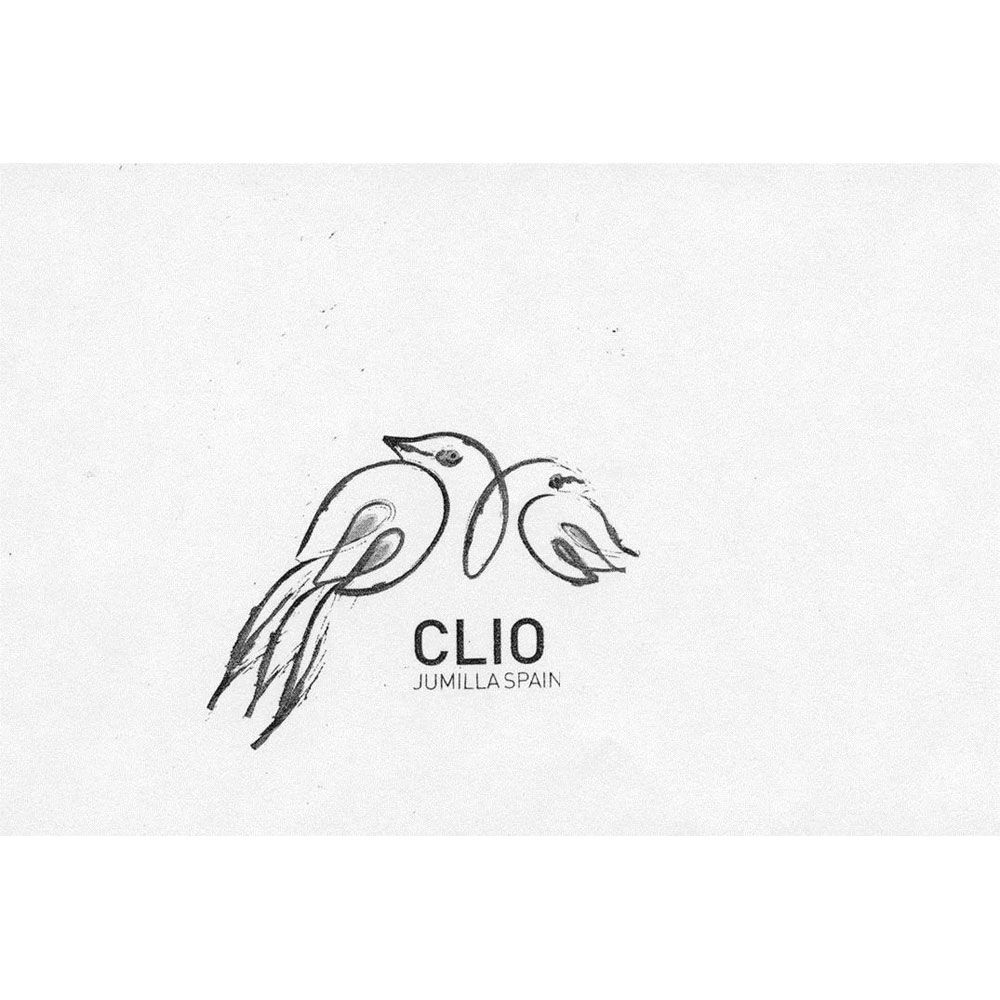 Bodegas El Nido Wine - Learn About & Buy Online | Wine.com