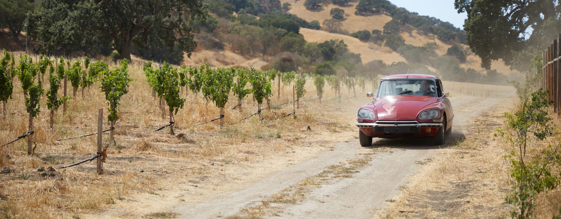 The Language of Yes Les Fruits Rouges Rose 2022 | Wine.com