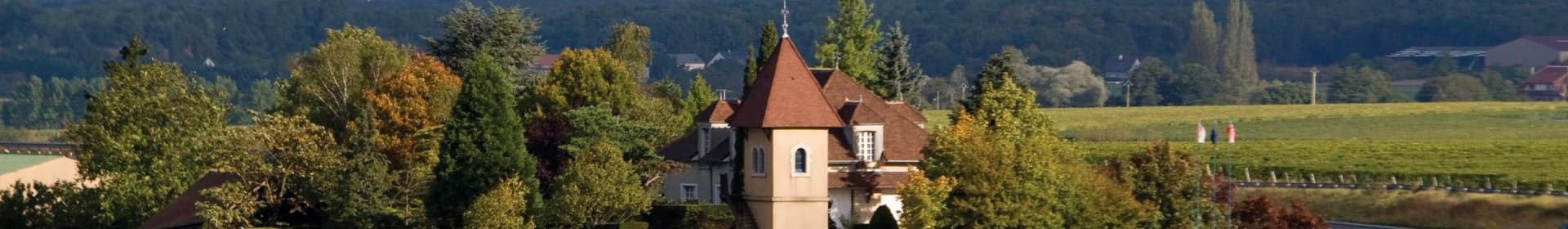 Michel Redde Sancerre Les Tuilieres 2018 | Wine.com