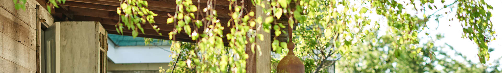 Pomelo Rose 2019 | Wine.com