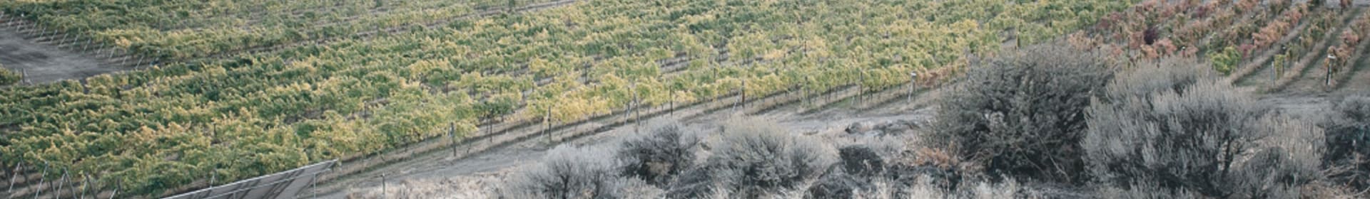 Chasing Rain Red Blend 2019 | Wine.com