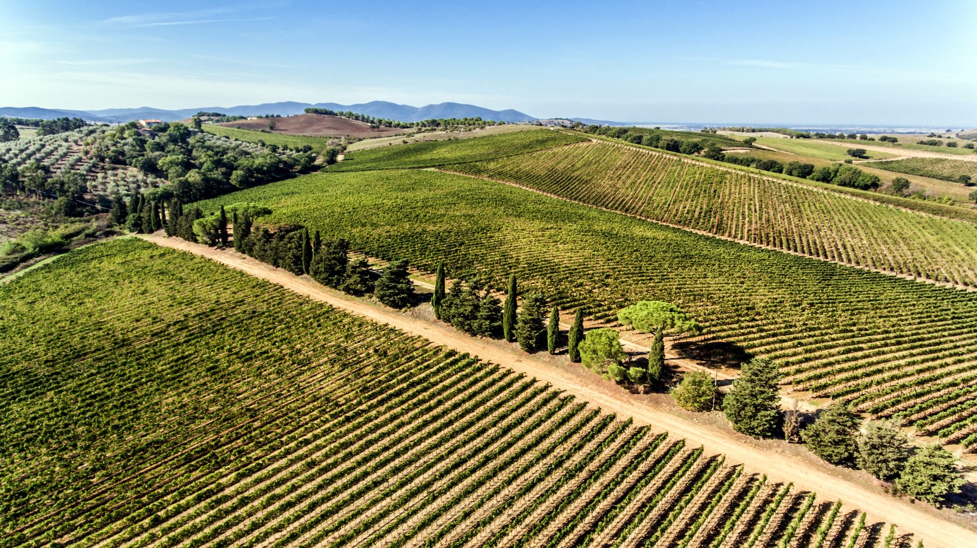 Val delle Rose Litorale Vermentino 2021 | Wine.com