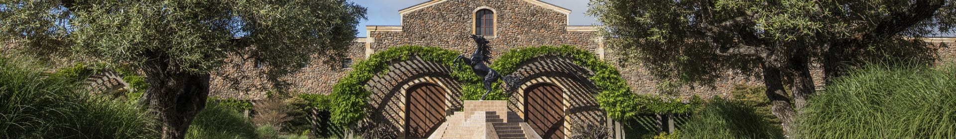 Sam Jasper Cabernet Sauvignon 2019 | Wine.com