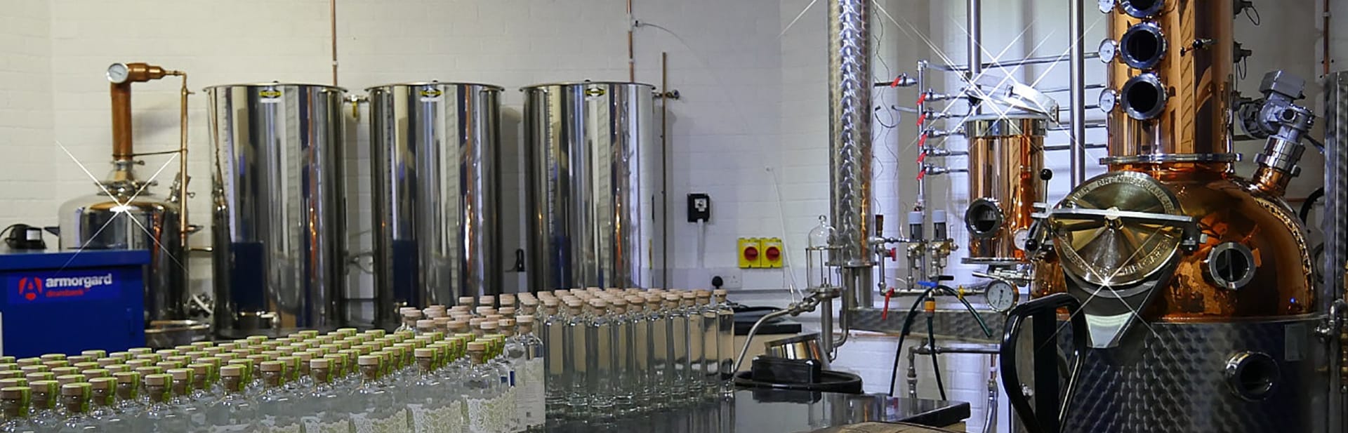 Dyfi Pollination Micro-Distilled Gin | Wine.com