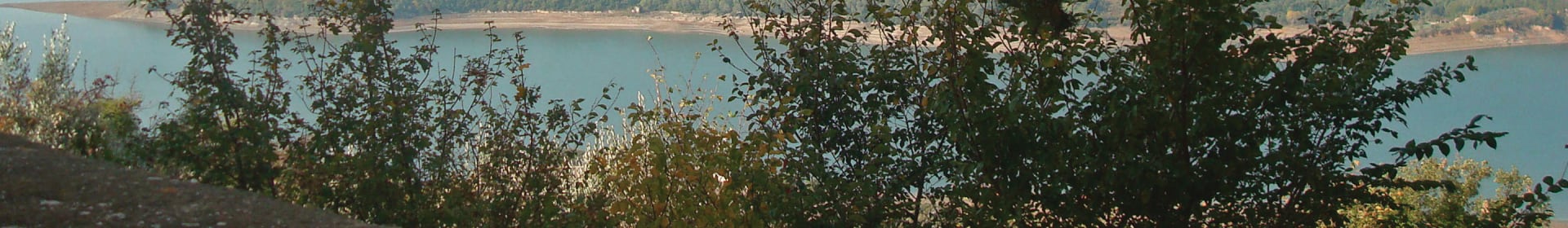 Tenuta di Salviano Turlo 2012 | Wine.com