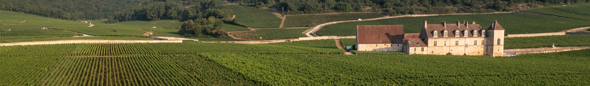 Chevalier de la Cree Cote de Beaune Knights Templar Cuvee 2017 | Wine.com