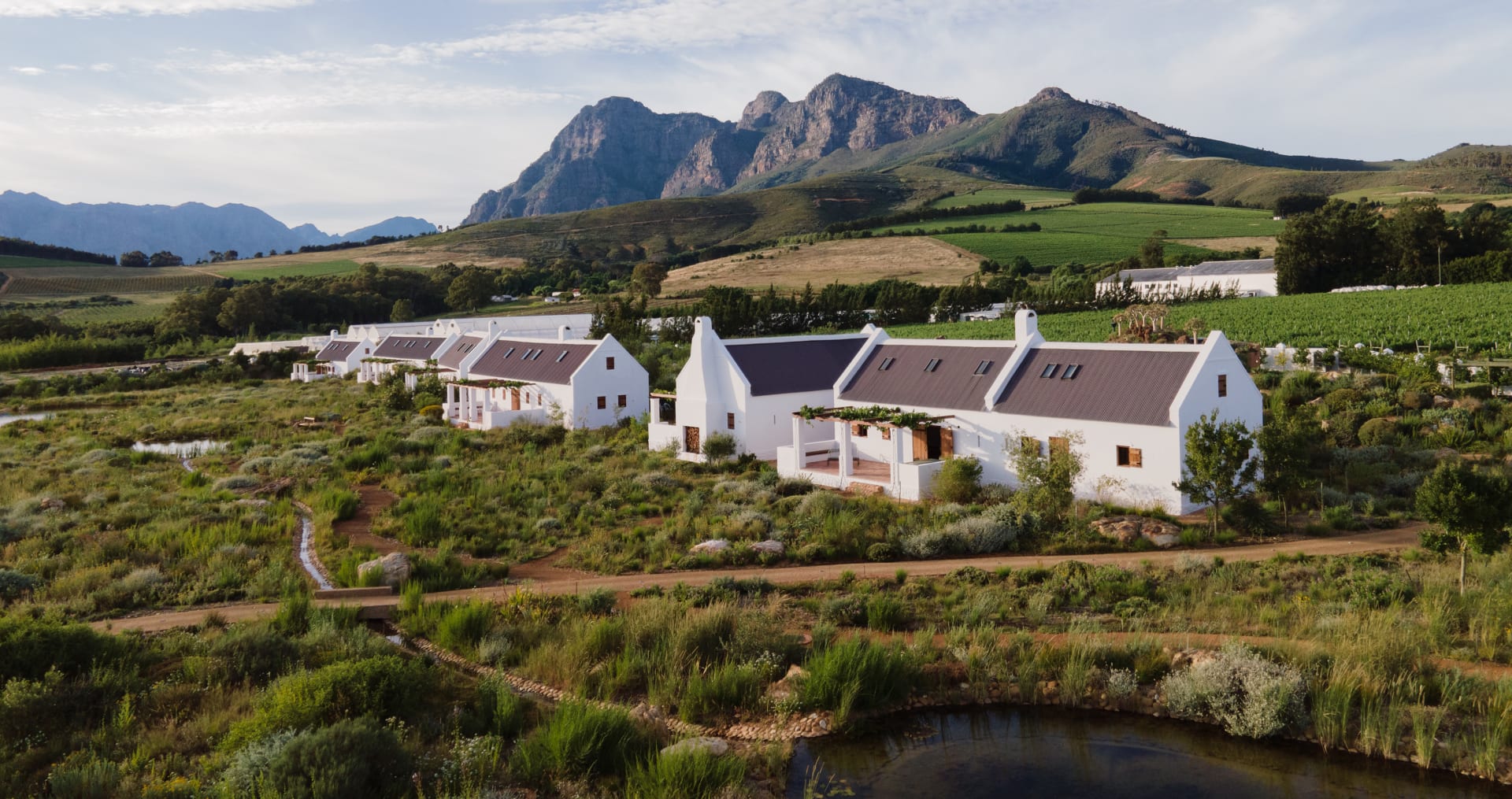 Babylonstoren Shiraz 2020 | Wine.com