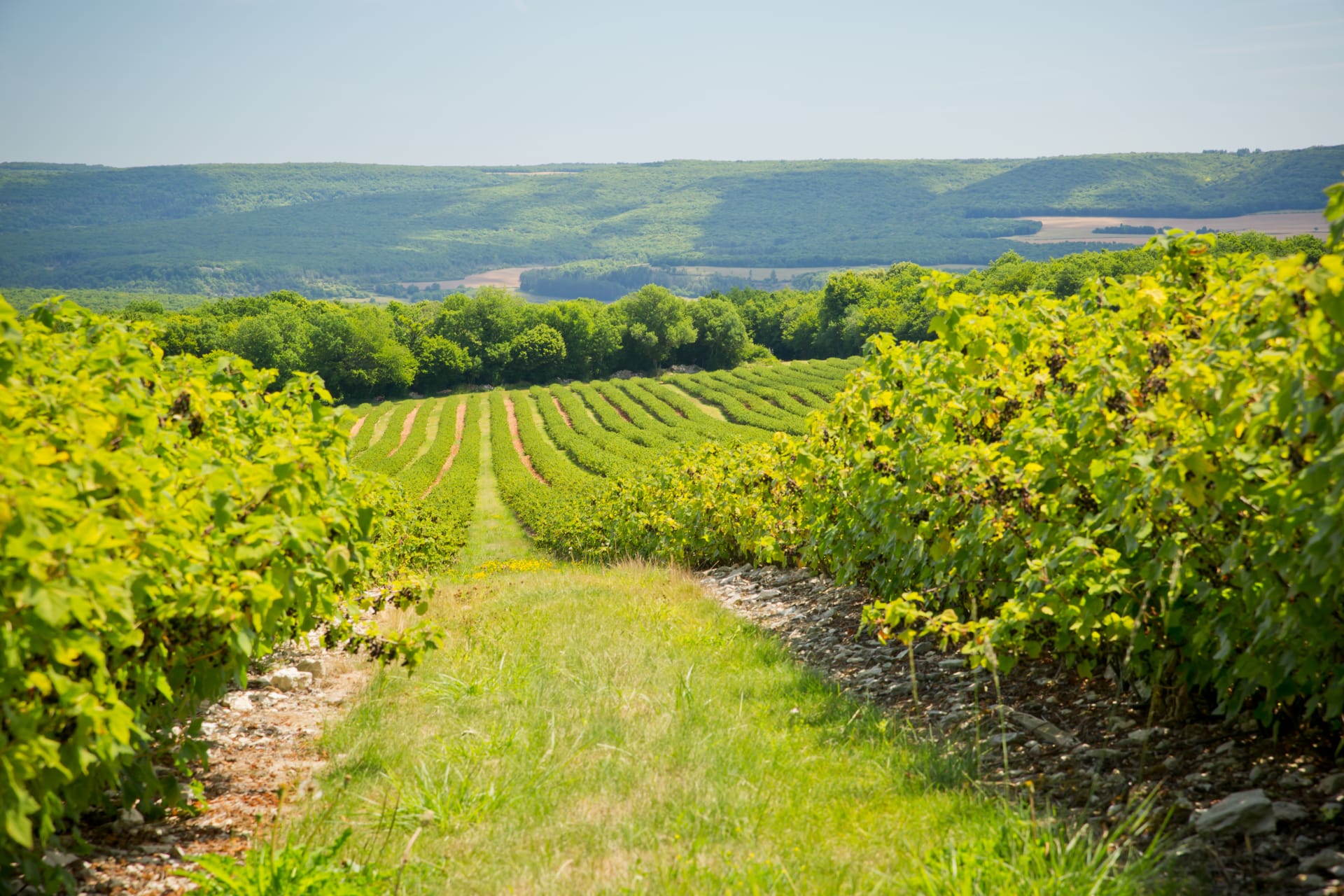 Lejay-Lagoute Creme de Cassis Liqueur (700ML) | Wine.com