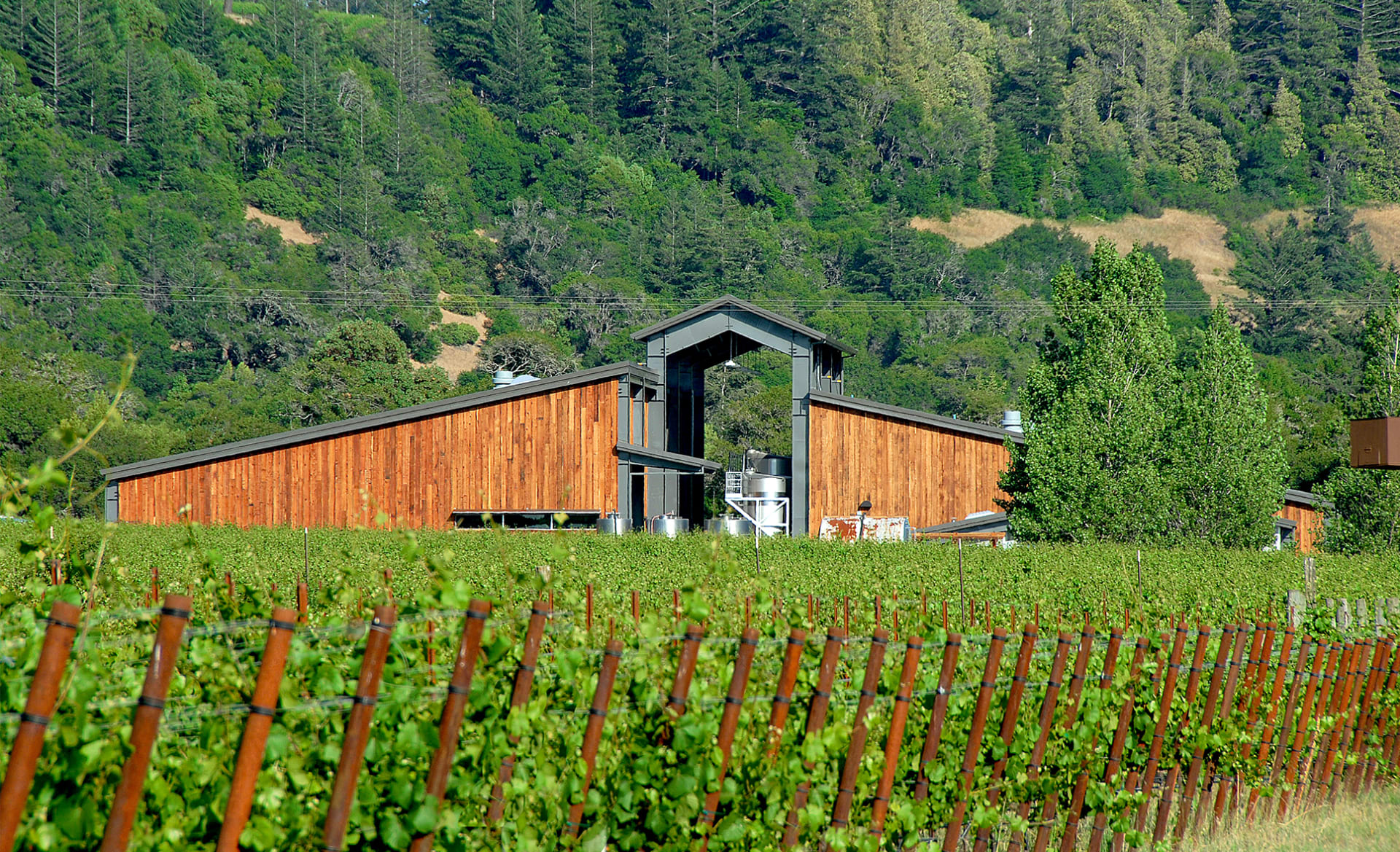 Goldeneye Brut Rose | Wine.com