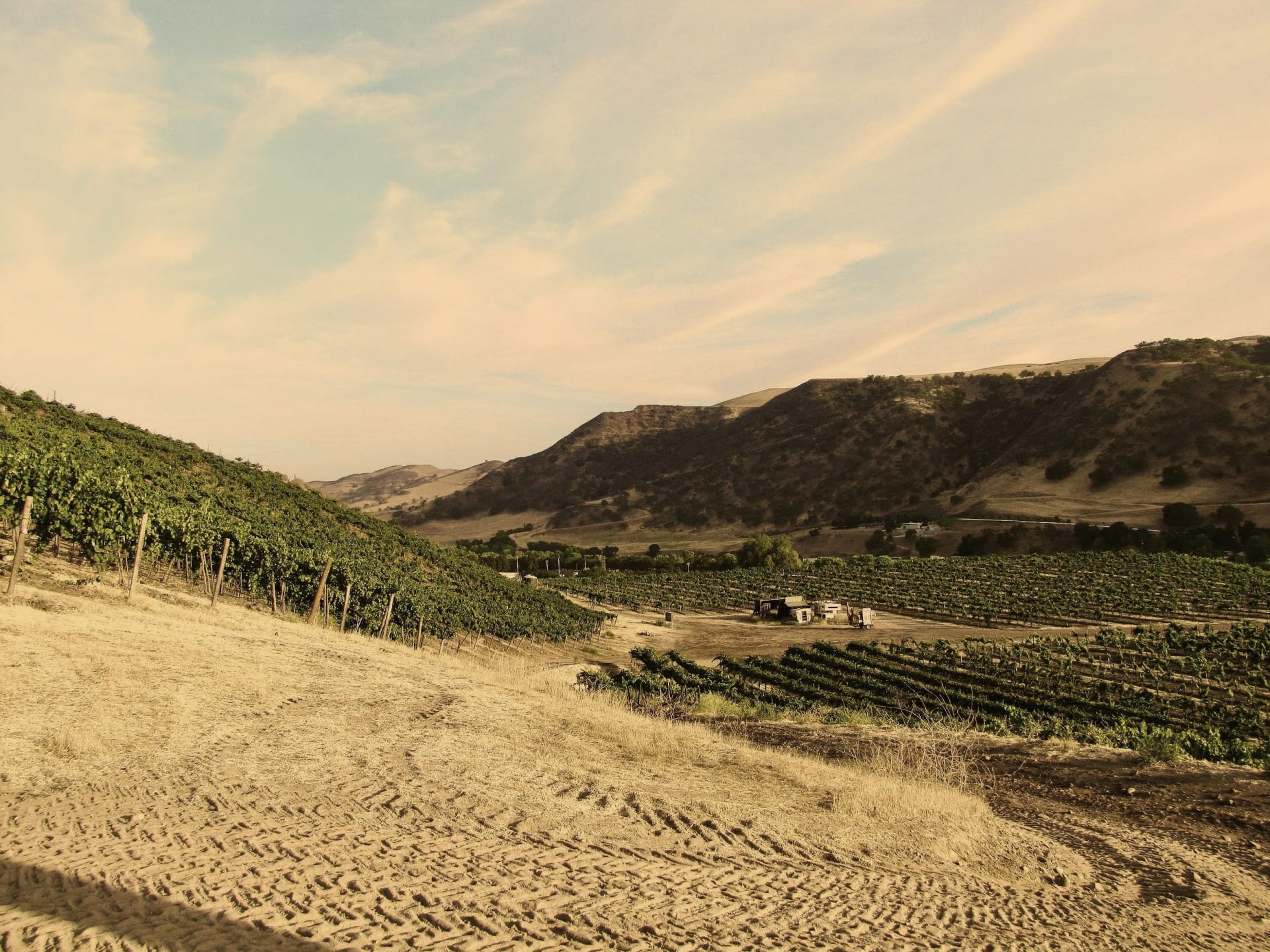 Stirm Kick-On Vineyard Riesling 2021 | Wine.com