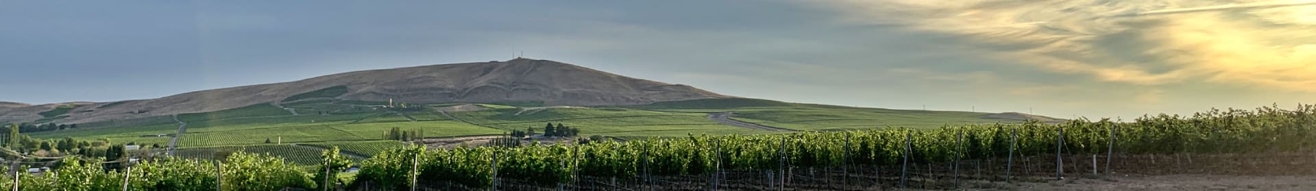 Aquilini Family Blend 2019 | Wine.com