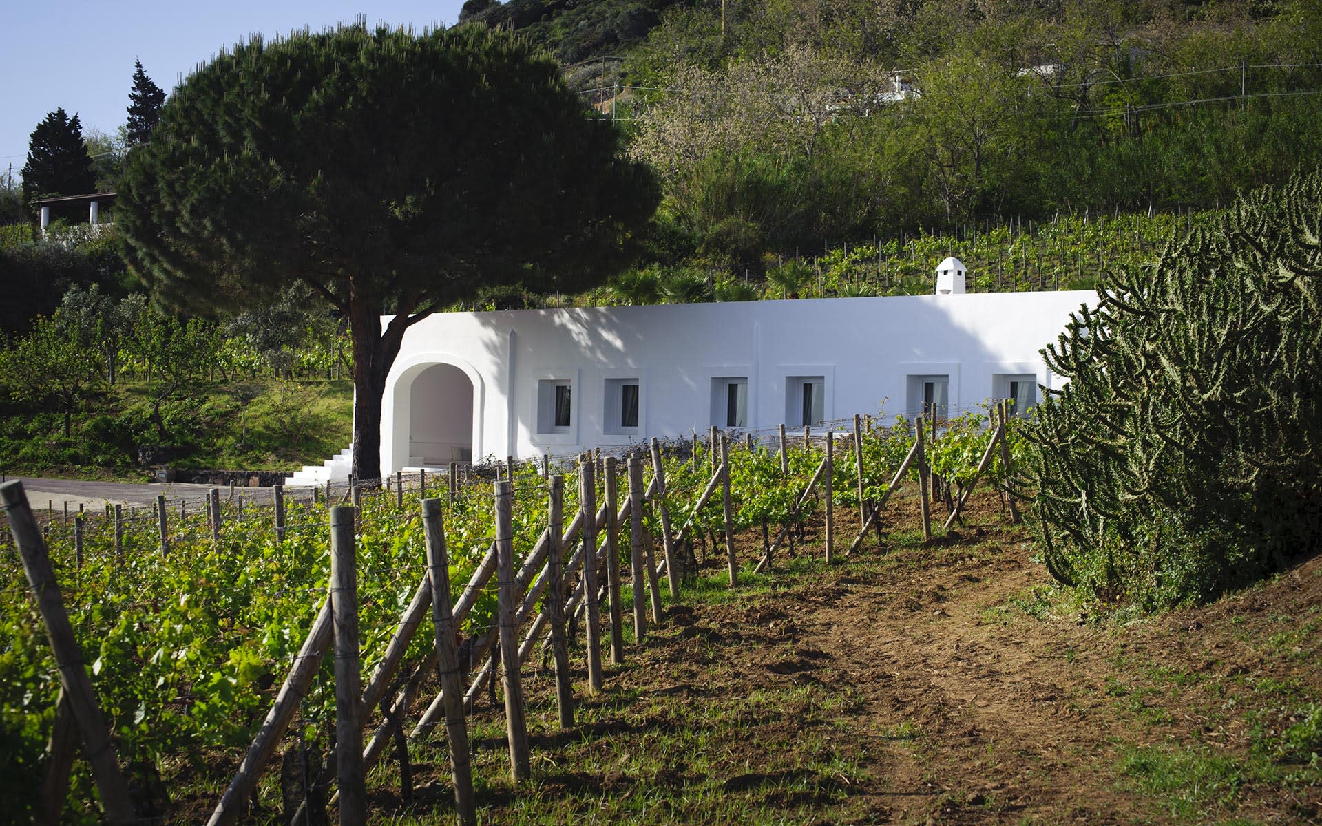 Capofaro Didyme Malvasia 2021 | Wine.com