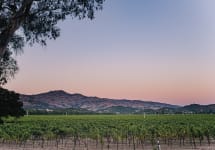 Elizabeth Rose Chockablock 2020 | Wine.com
