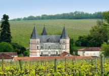 Frapin VSOP Cognac | Wine.com