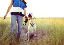 Frisk Prickly Riesling 2018 | Wine.com