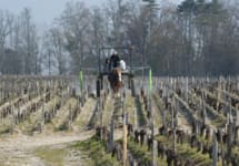 Liber Pater Wine - Learn About & Buy Online | Wine.com