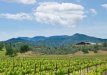 Langtry Estate Lillie's Collection Cabernet Sauvignon 2019 | Wine.com