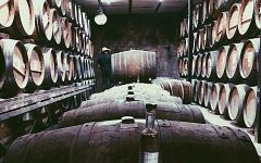 Codigo 1530 Rosa Reposado George Strait Edition | Wine.com