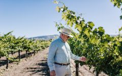 Ghost Block Oakville Estate Cabernet Sauvignon 2014 | Wine.com