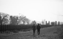 LVE by John Legend Cotes de Provence Rose 2018 | Wine.com