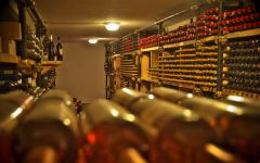 Paladin Salbanello 2021 | Wine.com
