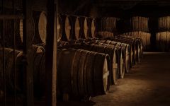 Frapin VSOP Cognac | Wine.com