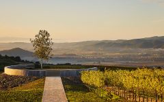 Realm Cellars The Bard 2019 | Wine.com