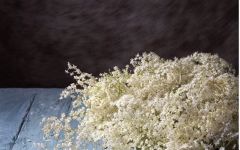 St. Elder Pamplemousse Liqueur | Wine.com