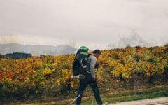 Pilgrim Mencia Crianza 2012 | Wine.com