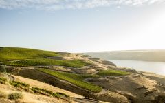 Beckstone Horse Heaven Hills Cabernet Sauvignon 2020 | Wine.com