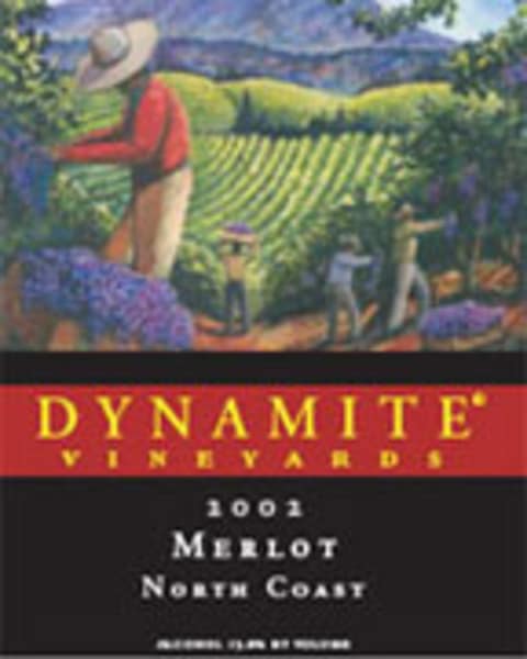 Dynamite Vineyards Dynamite Merlot 2002 | Wine.com