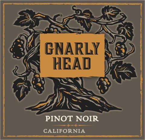 Gnarly Head Pinot Noir 2020 | Wine.com