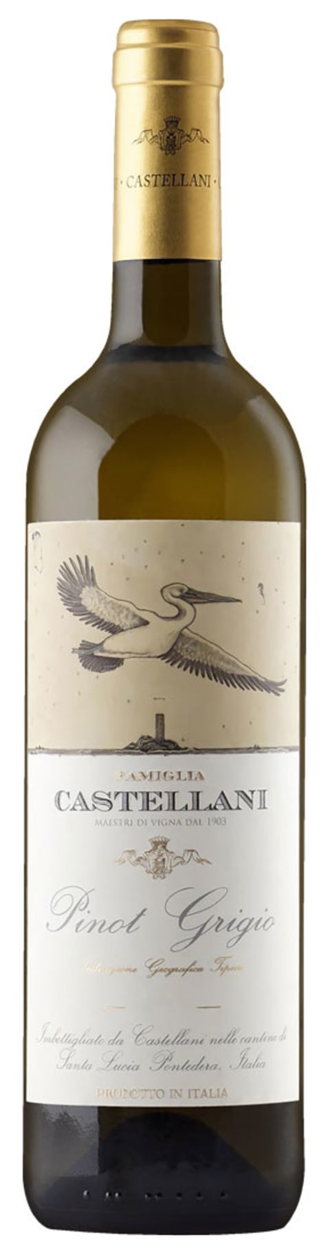 Castellani Pinot Grigio 2019 | Wine.com