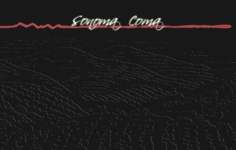 George Wine Company Coma Pinot Noir 2009 | Wine.com