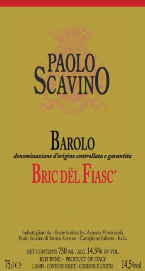 Paolo Scavino Barolo Bric del Fiasc 2019 | Wine.com