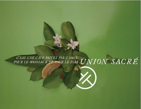 Union Sacre Belle de Nuit Dry Gewurztraminer 2020 | Wine.com