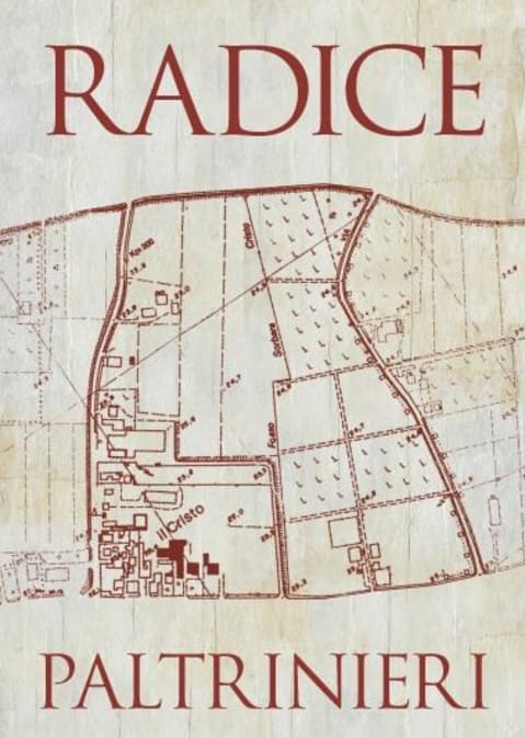 Cantina Paltrinieri Radice Lambrusco di Sorbara 2021 | Wine.com