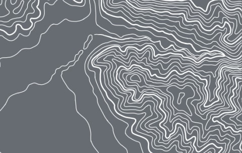 Lioco Rose of Carignan 2022 | Wine.com