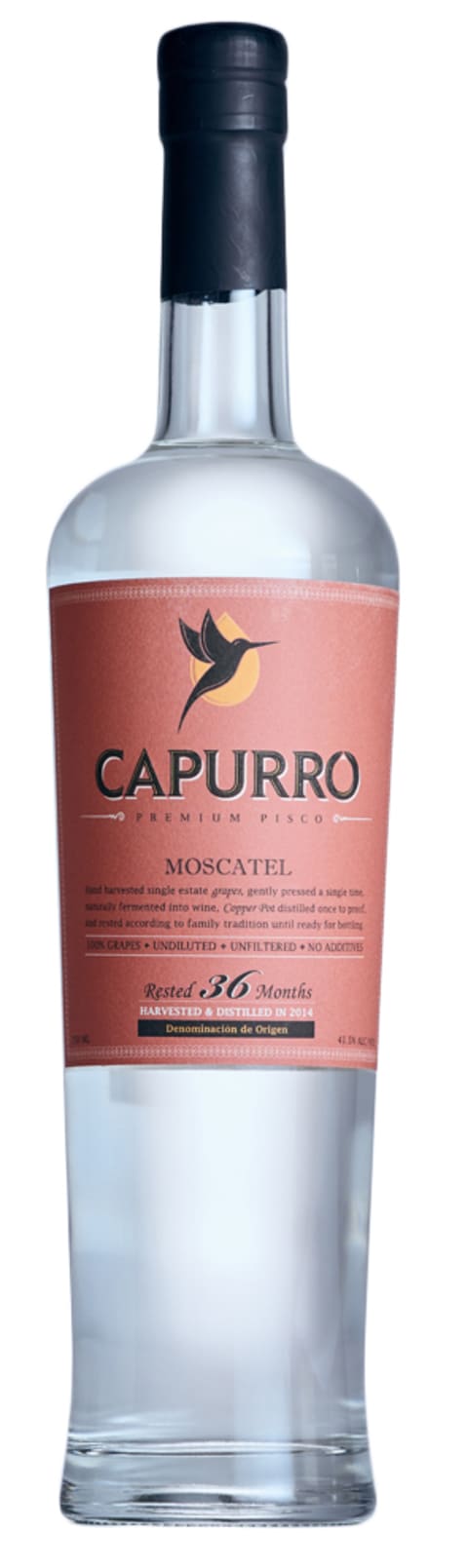 Capurro Moscatel Pisco 2016 | Wine.com