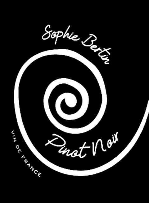 Domaine Eric Louis Sophie Bertin Pinot Noir 2022 | Wine.com