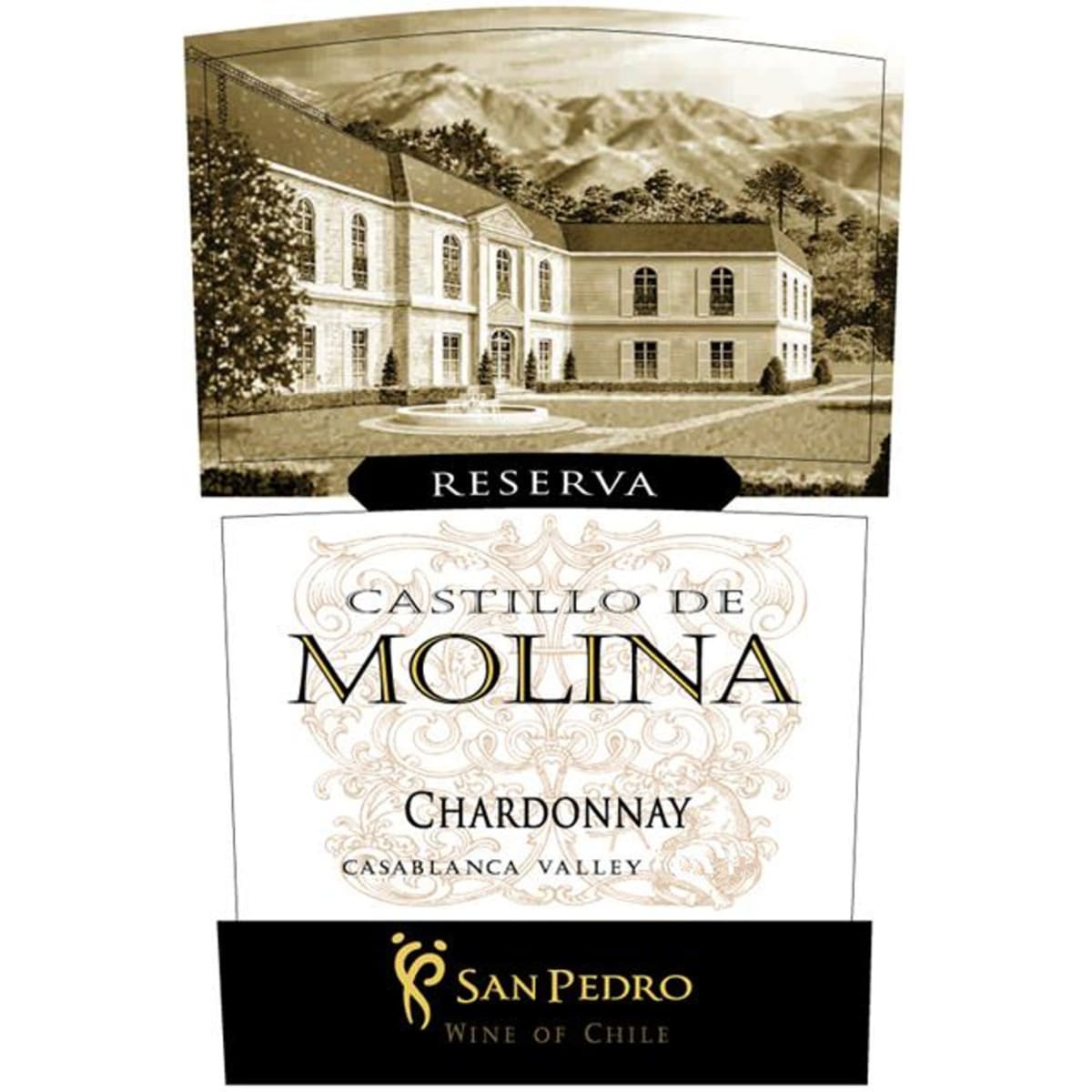 Vina San Pedro Castillo de Molina Chardonnay Reserva 2005 | Wine.com