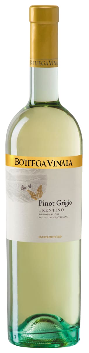 Bottega Vinaia Pinot Grigio 2020 | Wine.com