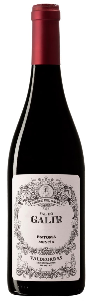Bodegas Virgen del Galir Val do Galir Mencia 2019 | Wine.com
