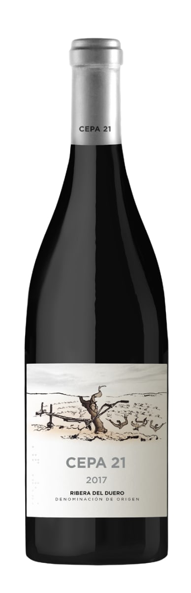 Bodegas Cepa 21 Ribera del Duero 2017 | Wine.com