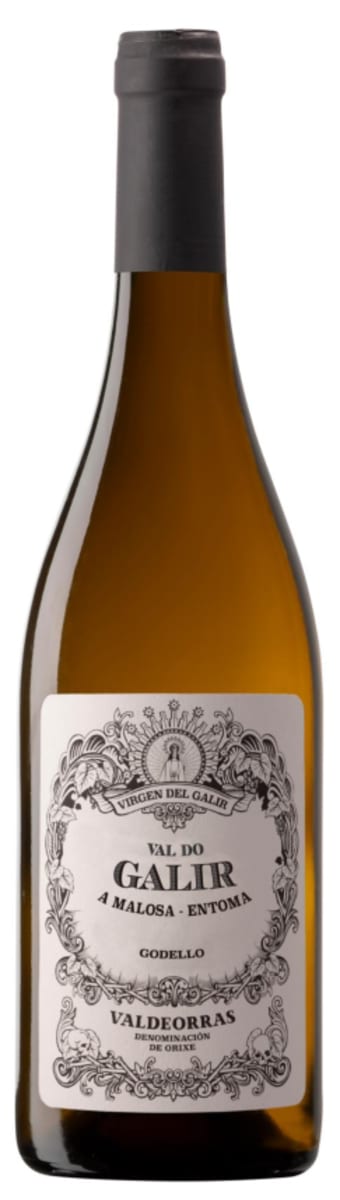 Bodegas Virgen del Galir Val do Galir Godello 2021 | Wine.com