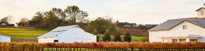 Gamble Family Vineyards Wine - Learn About & Buy Online | Wine.com