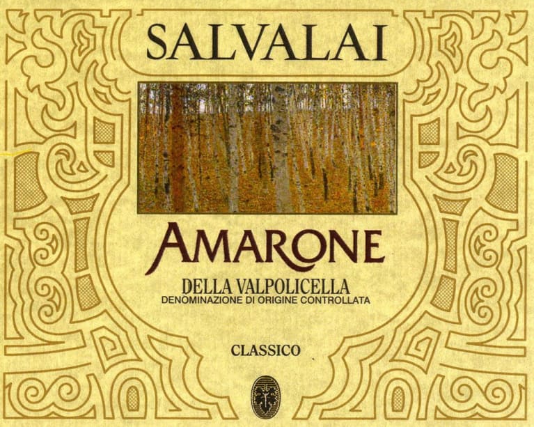 Cantine Salvalai Amarone della Valpolicella Classico 2008 | Wine.com