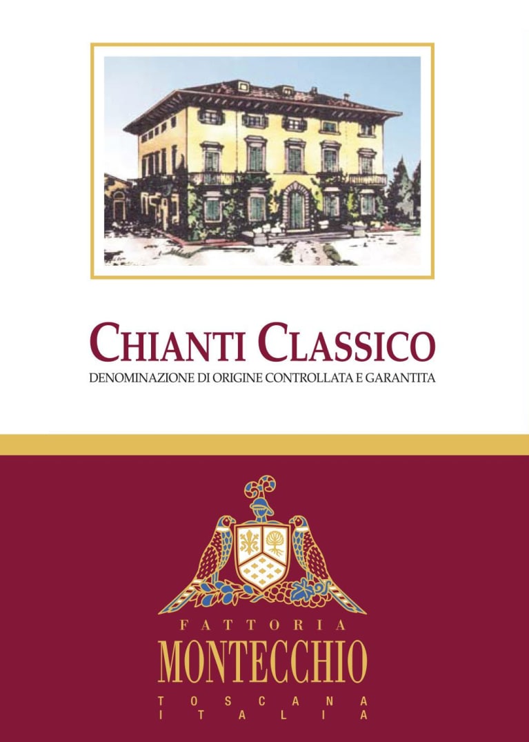 Fattoria Montecchio Chianti Classico 2010 | Wine.com