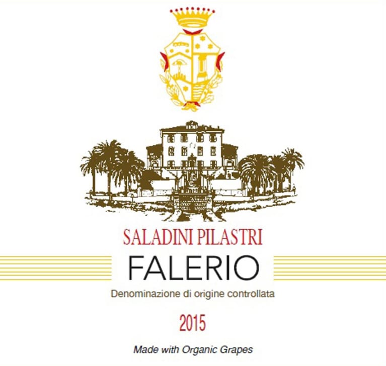 Saladini Pilastri Falerio dei Colli Ascolani Vigna Palazzi 2015 | Wine.com
